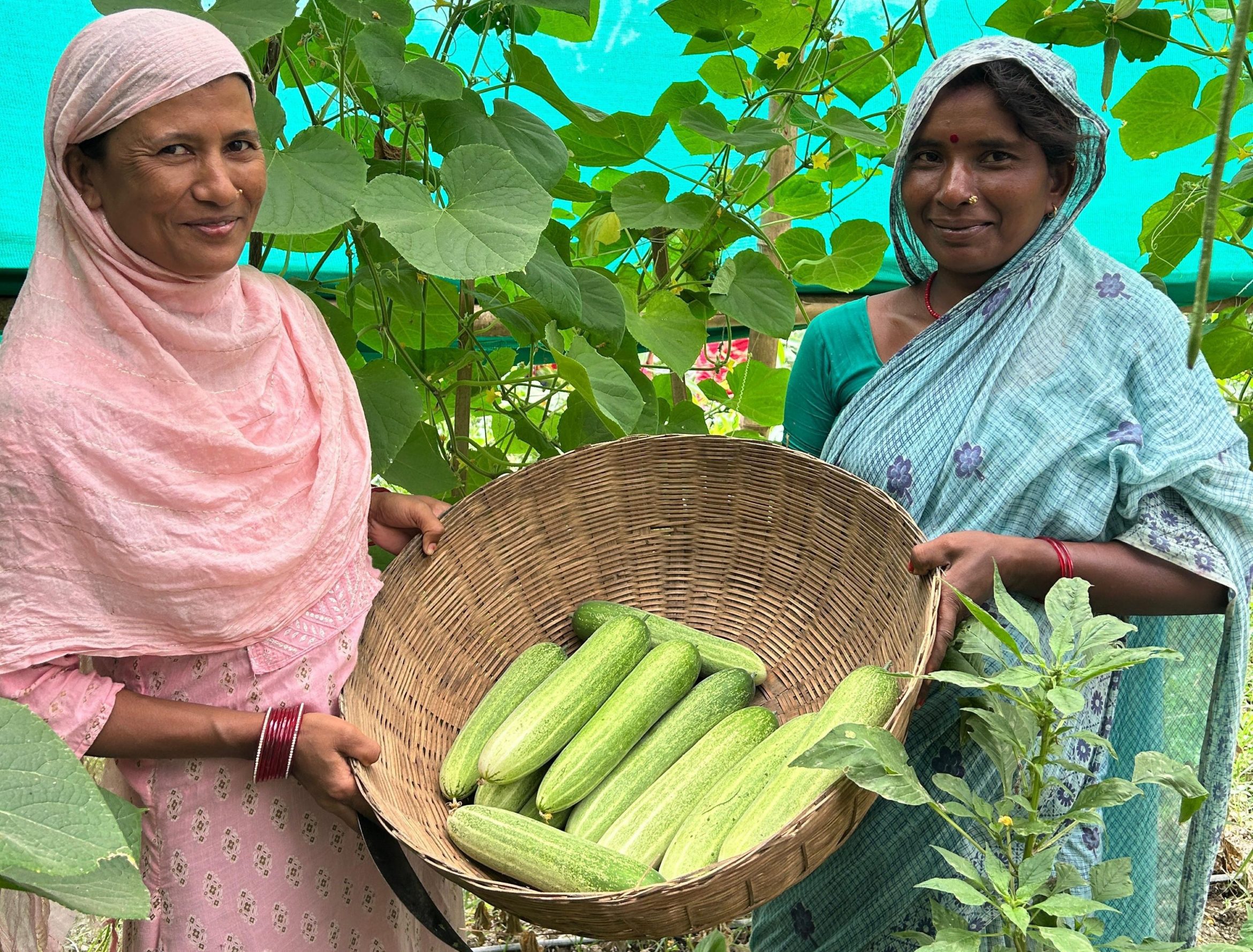 Bio-Anbau in Nepal